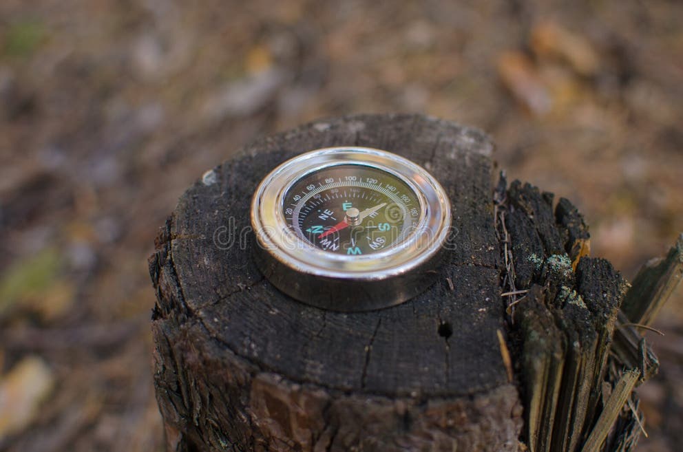 Compass lying on the stump stock photo. Image of path - 91705676