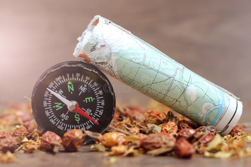 107 Medicinal Plant Map Stock Photos - Free & Royalty-Free Stock Photos ...