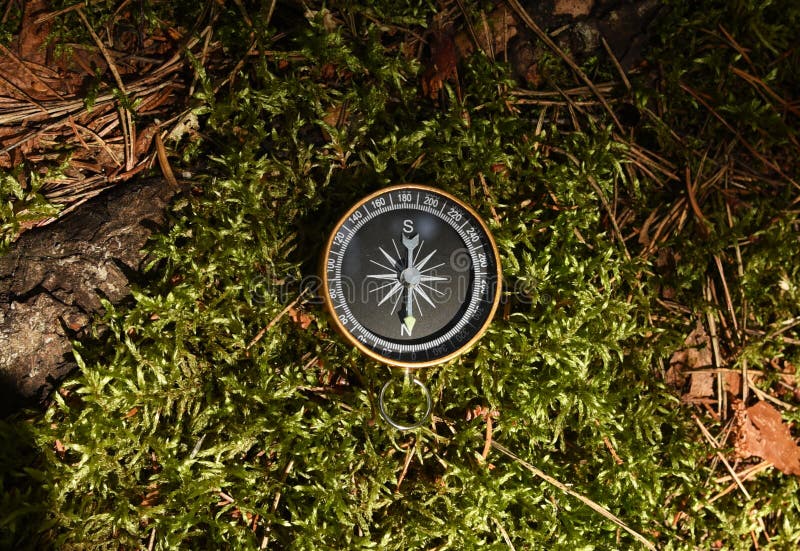 Compass on Moss in Forest. Tourist Compass for Orientation on the ...