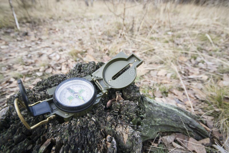 Compass stock image. Image of south, forest, location - 48335365