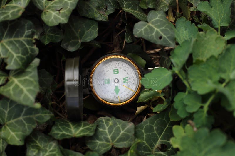 Compass over green stock image. Image of longitude, rose - 335942237