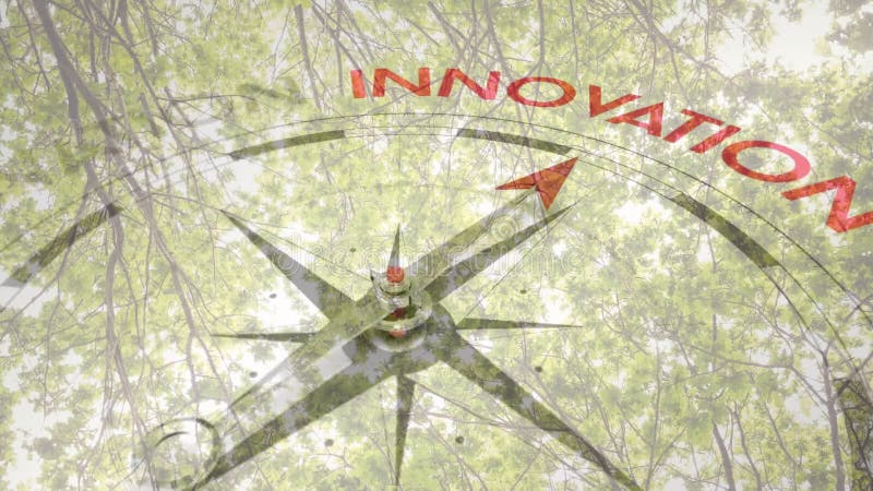 Compass Pointing To INNOVATION Over Tree Canopy Animation Stock Footage ...