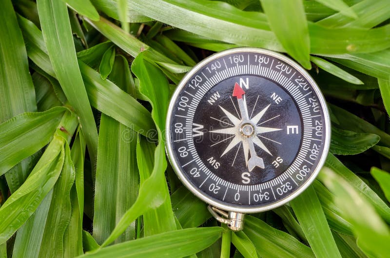 Compass put on the lawn stock photo. Image of arrow, background - 59833002