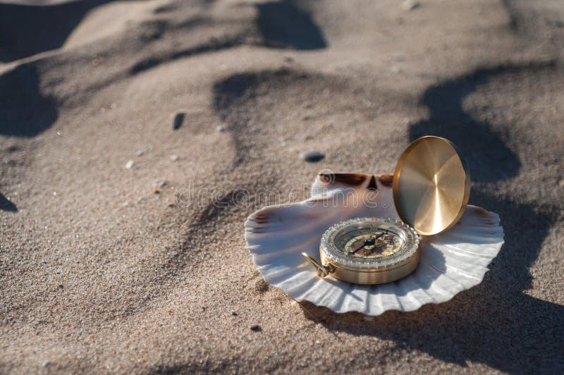 Compass in shell stock image. Image of beach, natural - 70770135