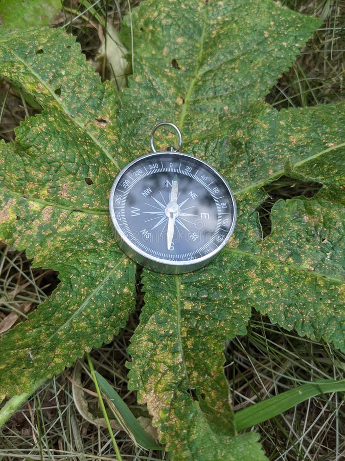 The Compass Shows the Direction on Your Path You Choose Yourself Stock ...