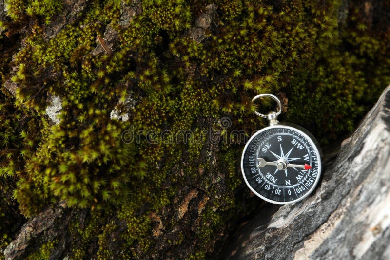 Compass on Tree Covered with Moss, Top View. Space for Text Stock Image ...