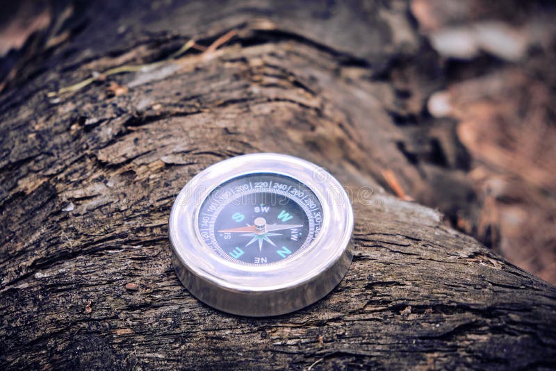Compass on a Tree Stump in Forest.Travel and Recreation Wild Stock ...