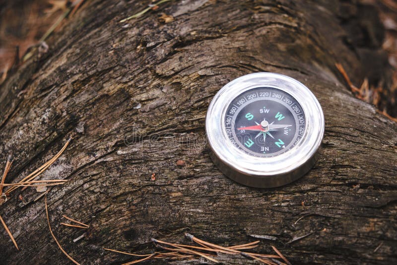 Compass on a Tree Stump in Forest.Travel and Recreation Wild Stock ...