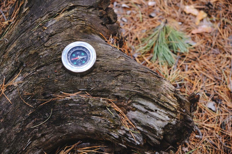 Compass on a Tree Stump in Forest.Travel and Recreation Wild Stock ...