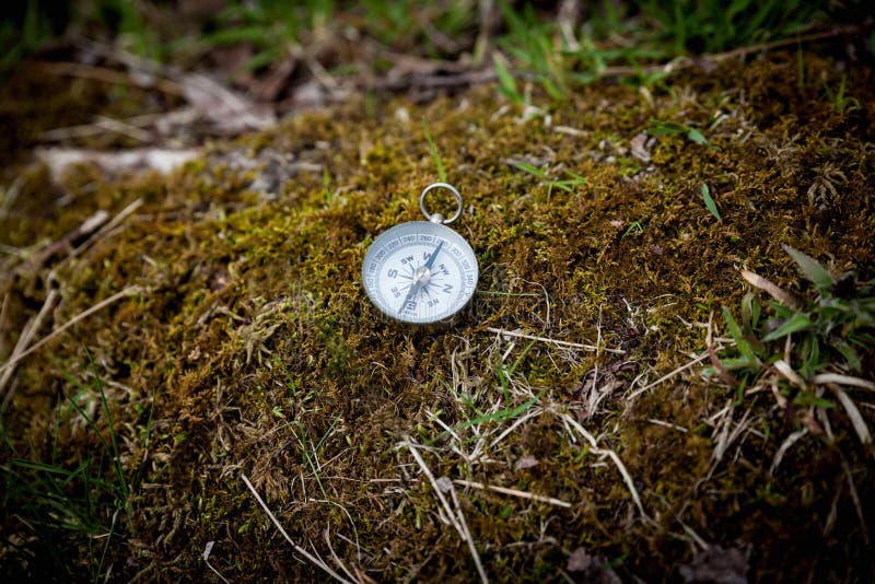 Compass stock photo. Image of trekking, compass, navigator - 31356862