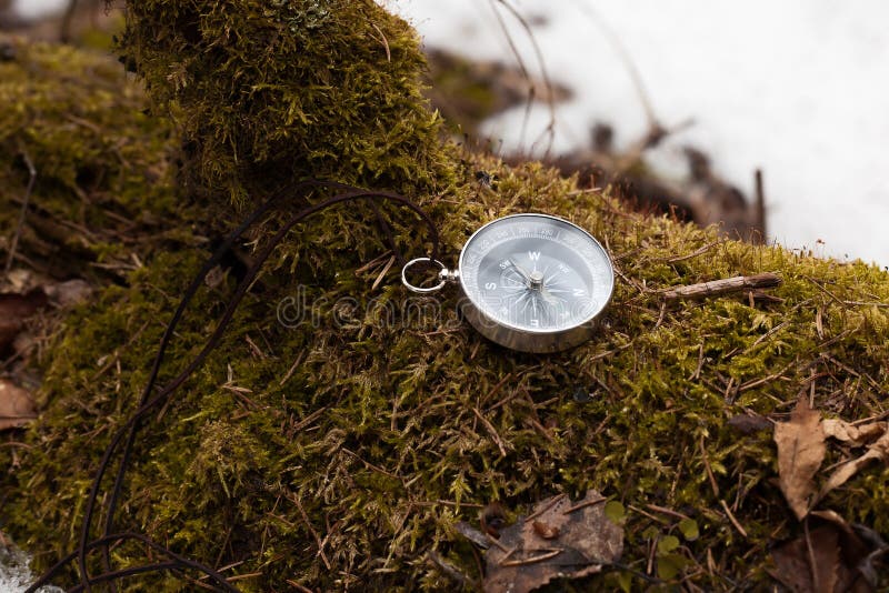 Compass in winter forest stock image. Image of natural - 38666847