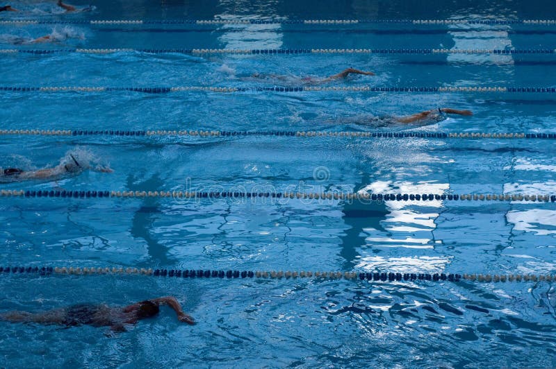Competition Swimming Pool Crowded of Swimmers Training. Stock Photo ...