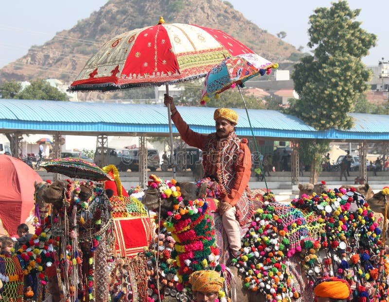 Competition To Decorate Camels at Pushkar Camel Fair Editorial Image ...