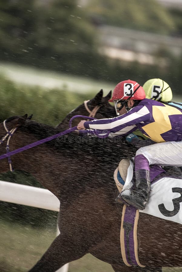 Competitive Horse Racing stock image. Image of action - 77827981