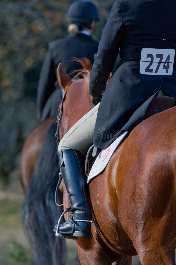 Competitive horse riders stock photo. Image of horse, trial - 7535402