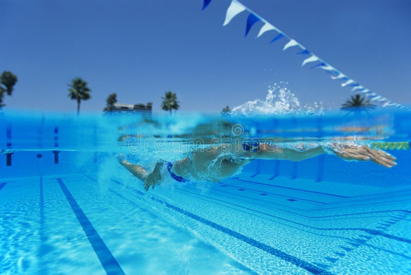 Competitive Male Swimmer stock photo. Image of activity - 29647454