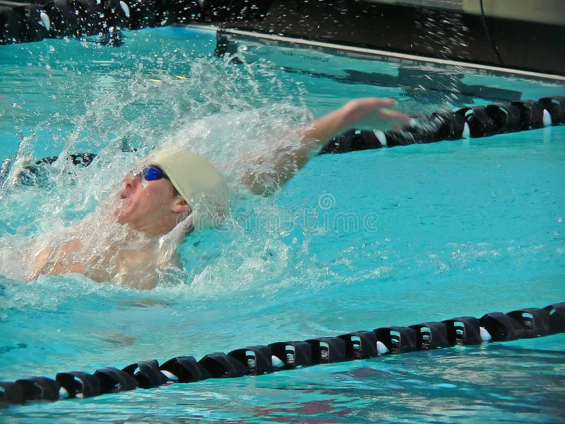 Competitive Swimming stock image. Image of pool, freestyle - 2282585
