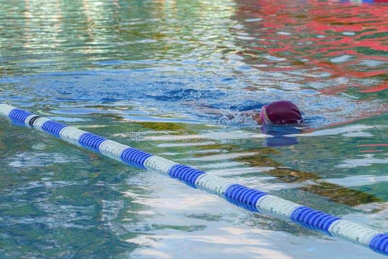 A Competitive Swimmer Swims in a Pool during Training Stock Image ...
