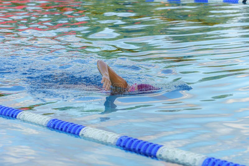 A Competitive Swimmer Swims in a Pool during Training Stock Photo ...