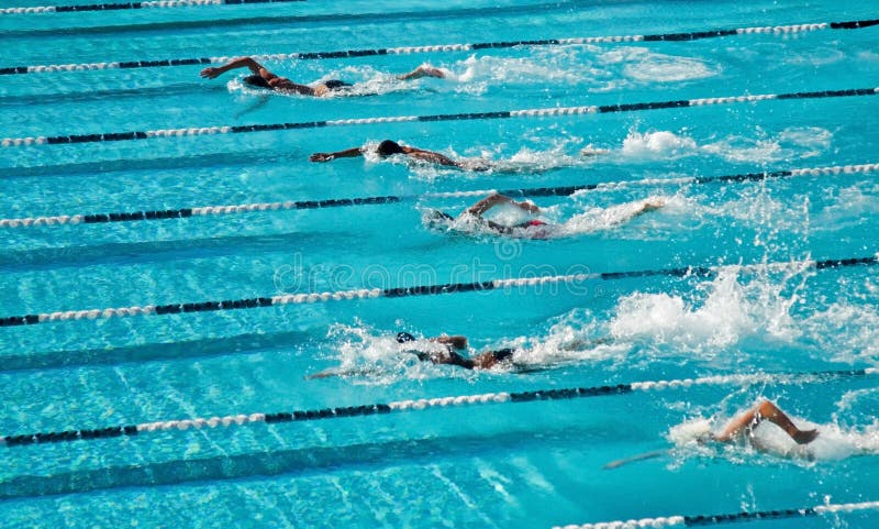 Competitive Swimming Stock Images - Image: 2282604
