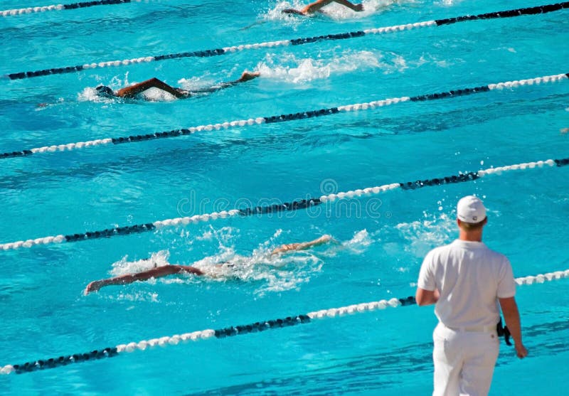 Competitive Swimming stock photo. Image of muscle, sports - 2282604
