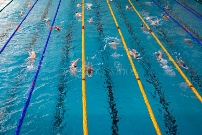 Competitive Swimming stock image. Image of pool, freestyle - 2282585