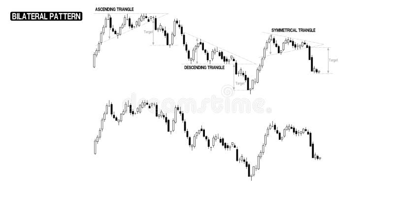 Bilateral Pattern of Stock Chart Compilation Stock Vector ...