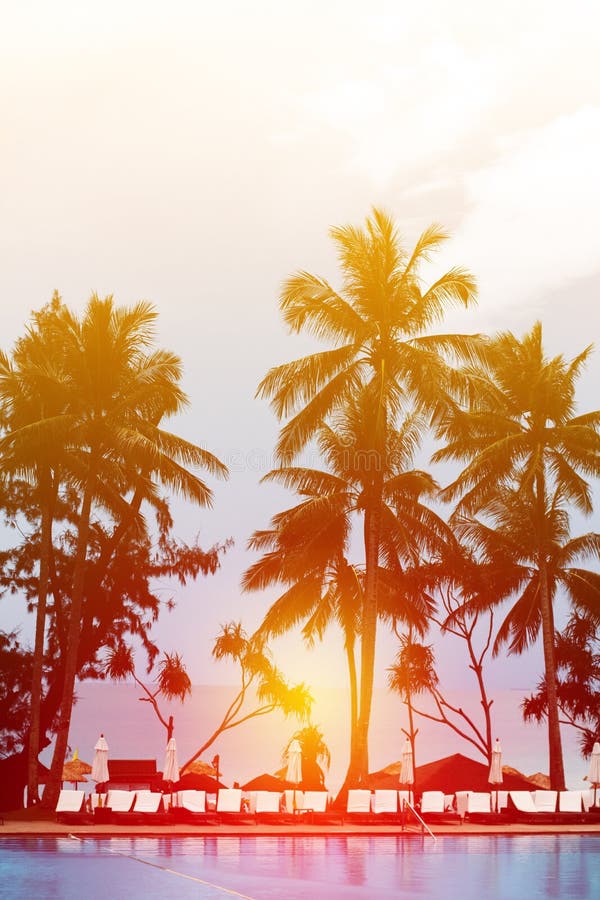 Complejo Playero En El Mar Con Las Palmeras Foto de archivo - Imagen de ...