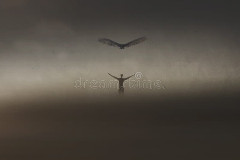 Complete Balance between Man and Nature Stock Photo - Image of horizon ...