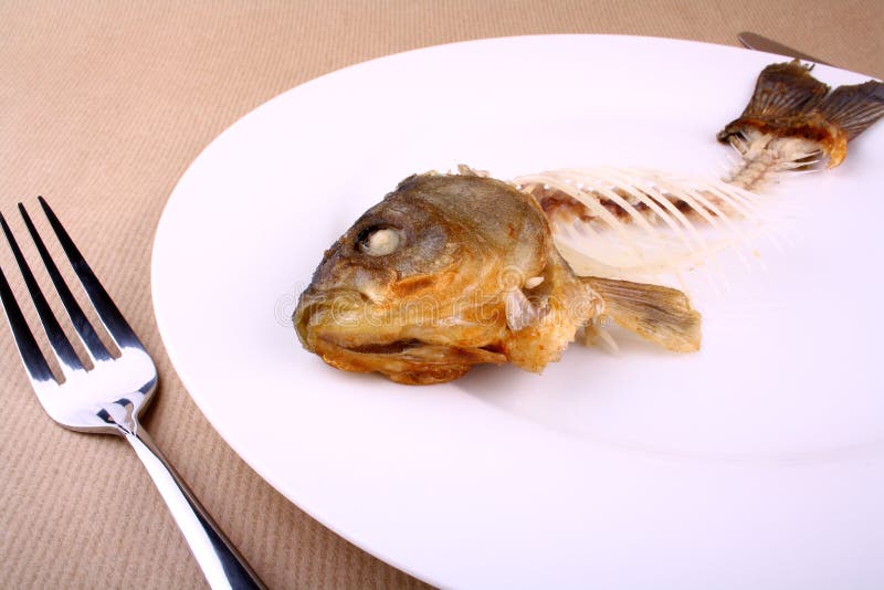 Complete Bone of Whole Fish on Plate, Abstract Stock Photo - Image of ...