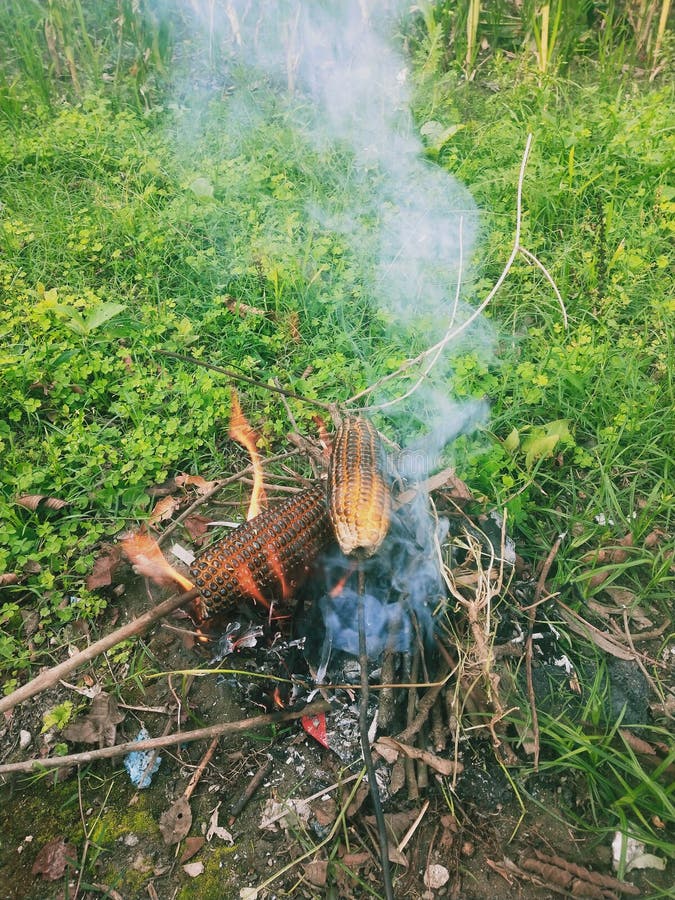 Complete Burning Corn on Fire Smoke Stock Photo - Image of green, fire ...
