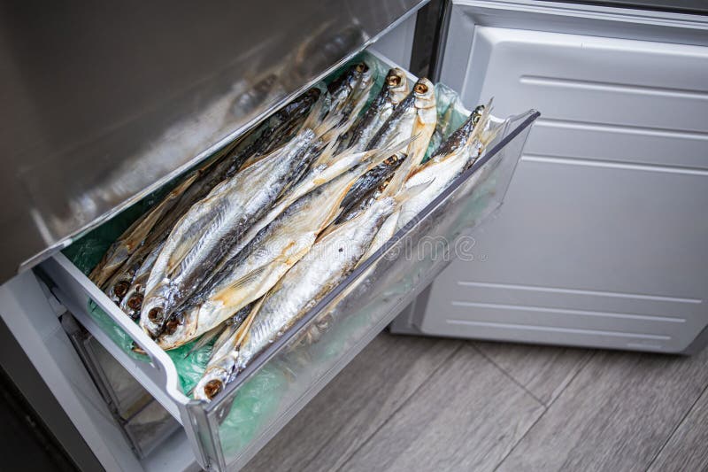 Complete Freezer Compartment of Delicious Dried Fish for Beer Stock ...