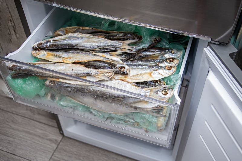 Complete Freezer Compartment of Delicious Dried Fish for Beer Stock ...