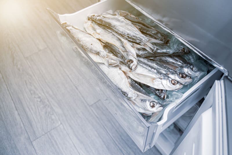 Complete Freezer Compartment of Delicious Dried Fish for Beer Stock ...