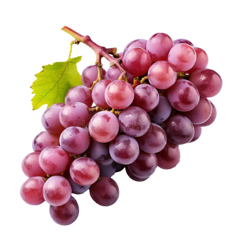 A Complete Grape Graphic is Displayed Against a See-through Backdrop ...
