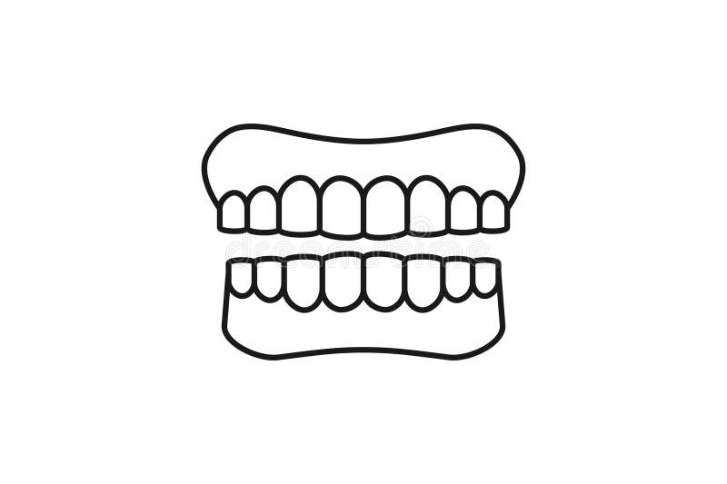 Complete Human Teeth Structure Icon Outline Design Stock Illustrations ...