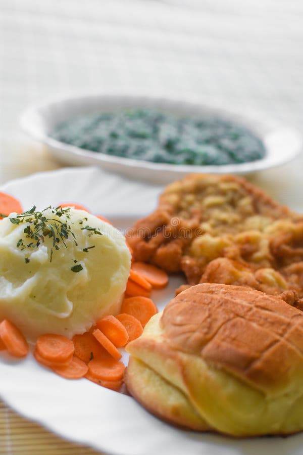 Complete meal stock image. Image of sauce, potato, meat - 62571065