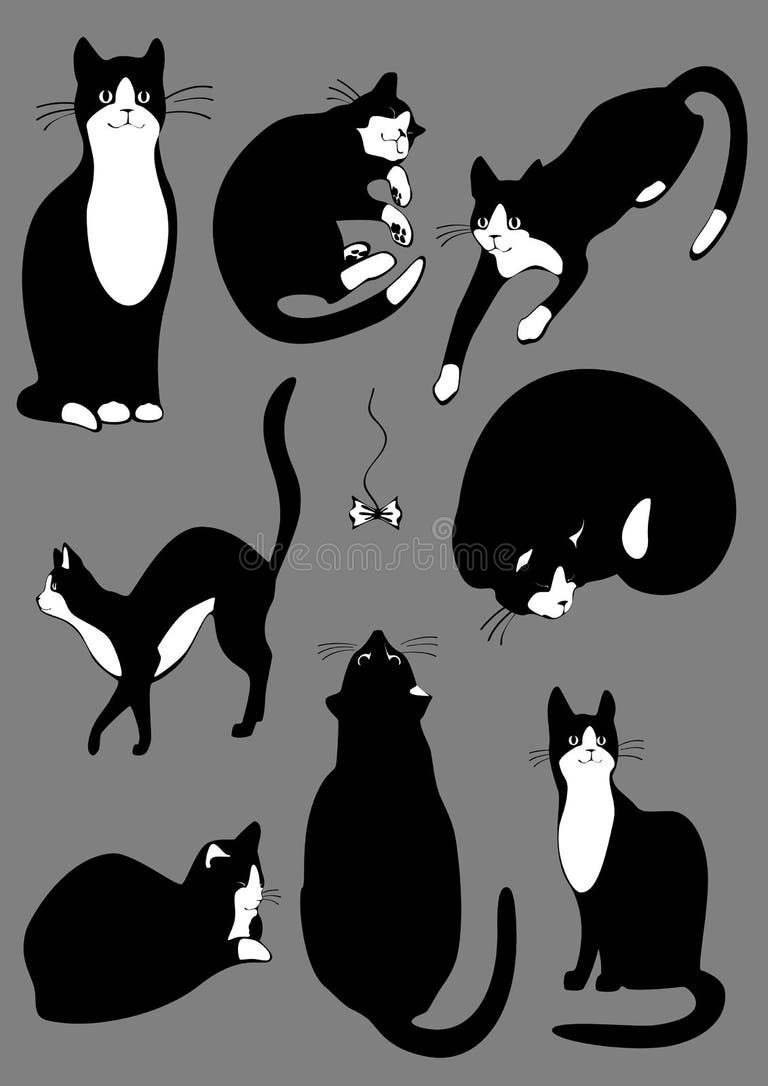 Complete Set Cats Stock Illustrations – 48 Complete Set Cats Stock ...