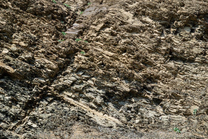 Complete Setting of the Textures of the Face of a Smooth Rock with ...