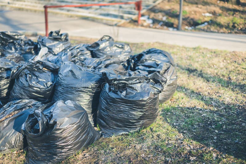 Complete Litter Stock Photos - Free & Royalty-Free Stock Photos from ...