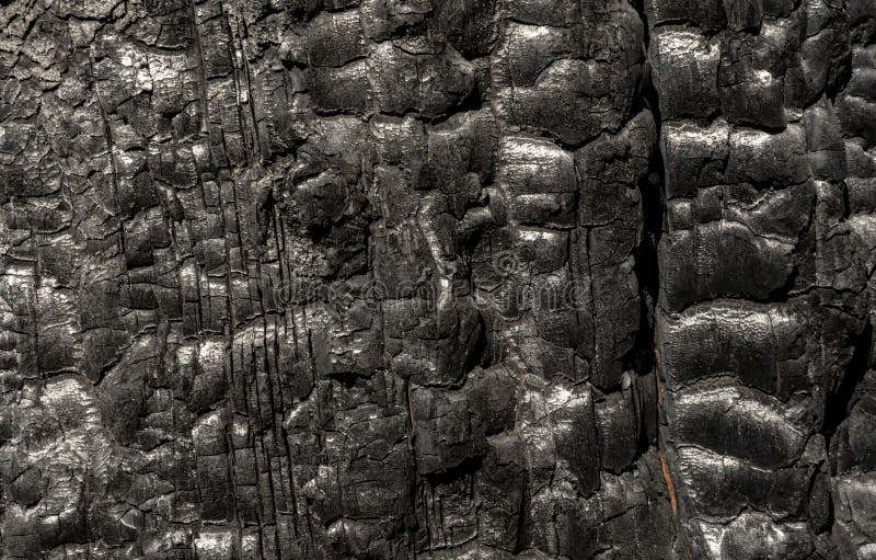 Completely Charred Surface of Tree Bark Stock Photo - Image of bark ...