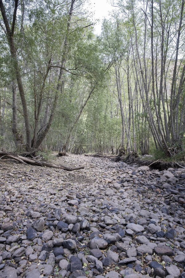 Completely Dry Riverbed, Drought Problem, Global Warming and Climate ...