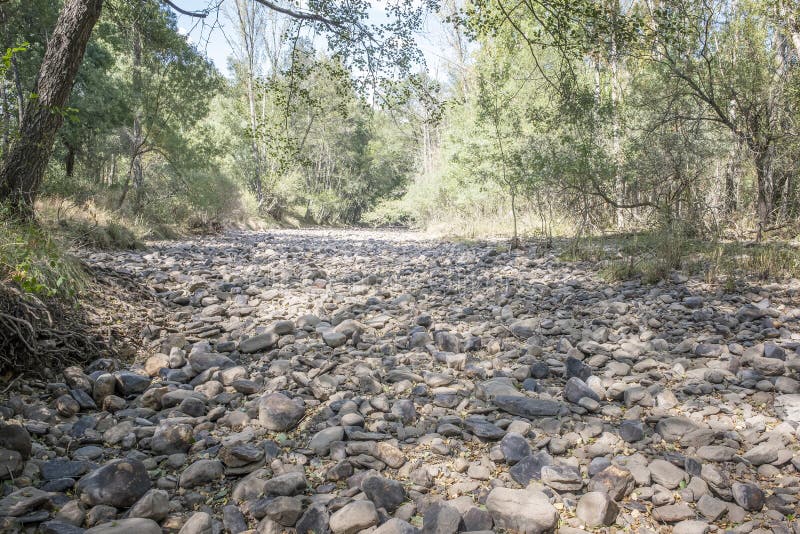 Completely Dry Riverbed, Drought Problem, Global Warming and Climate ...