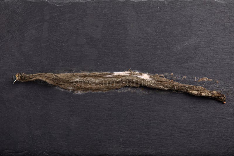 Completely Rotten Yellow Bean Pod Placed on Black Slate Stock Image ...