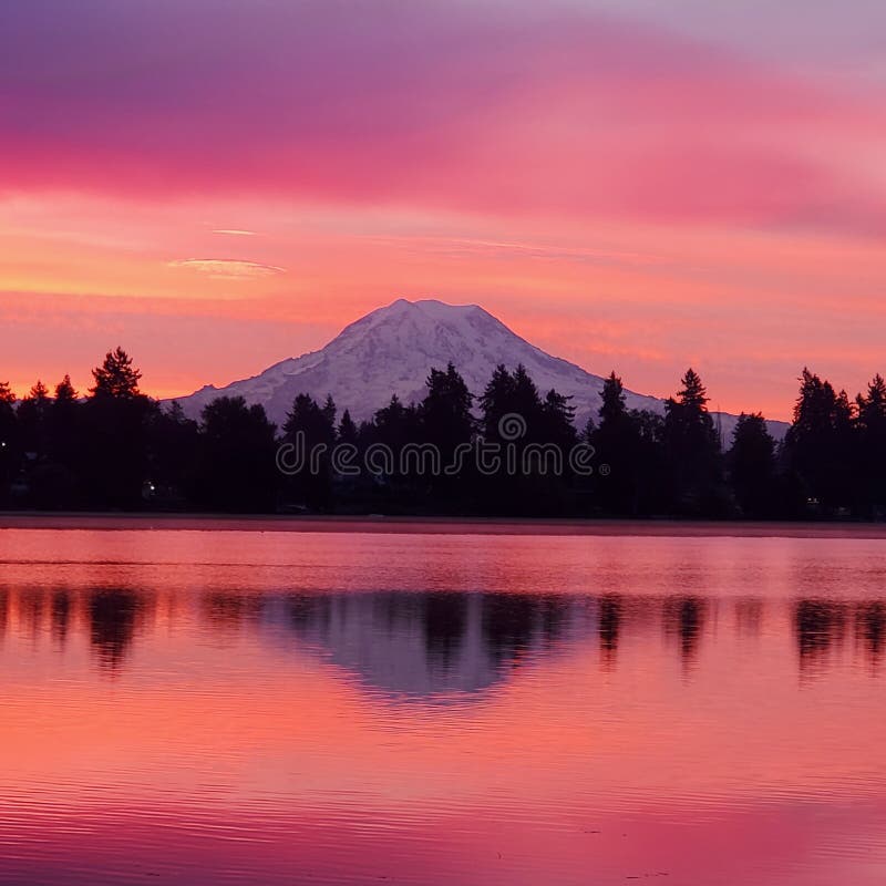 Mt Rainier, PNW stock photo. Image of rainier, sunrise - 237871840