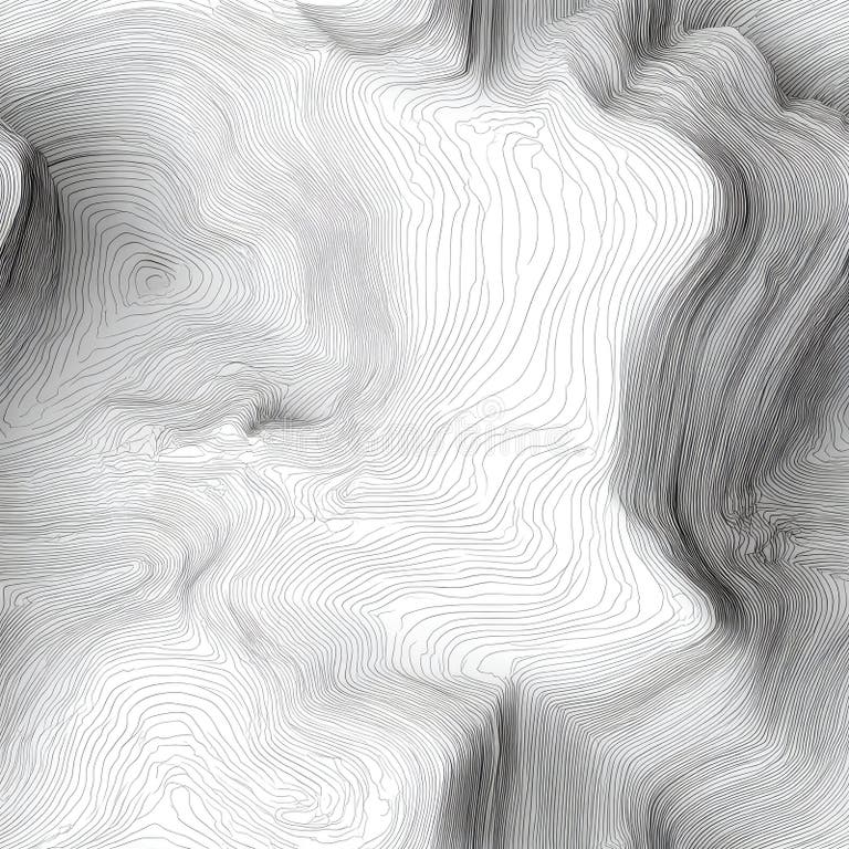 Complex and Artistic Topographic Patterns in a Black and White Color ...