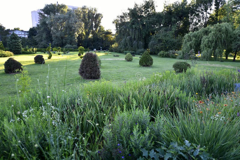 Flowering Angiosperms Plants. Stock Photo - Image of exterior, city ...