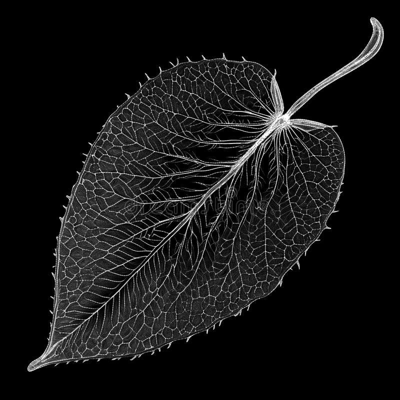 Complex nature stippling stock illustration. Illustration of ...