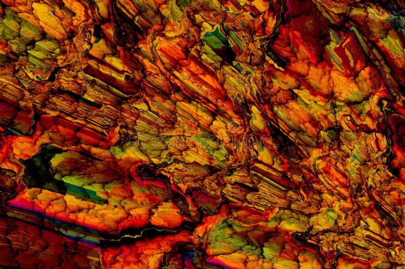 The Complex Pattern of Cracks and Protrusions of the Rocky Surface ...