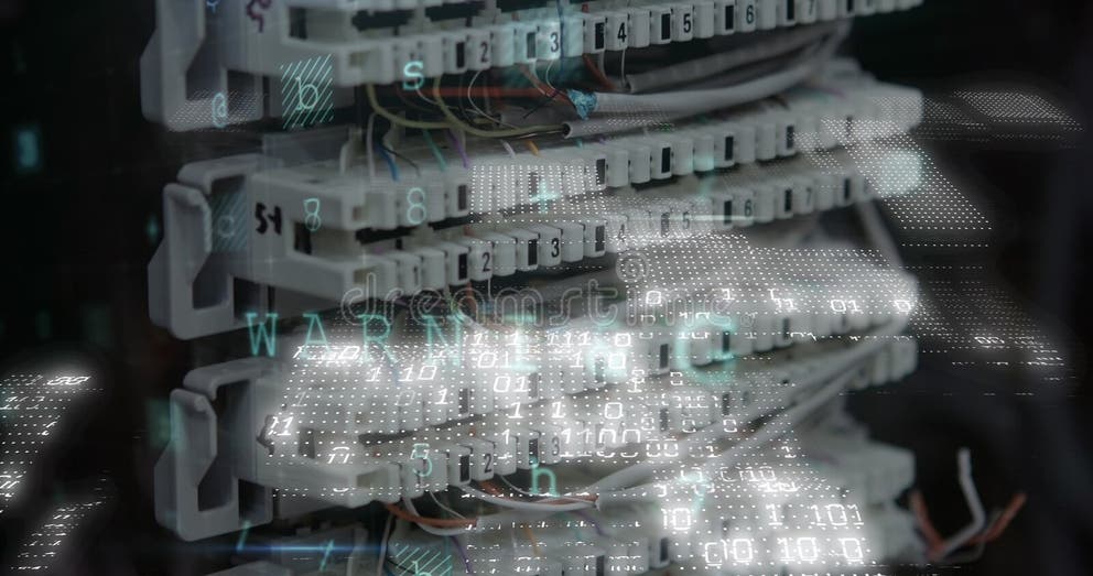 Complex Server Hardware with Various Cables and Connectors Stock Photo ...